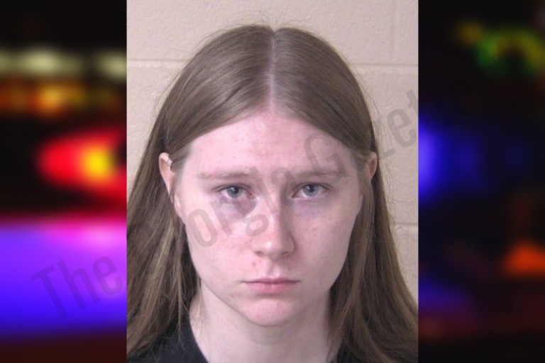Allison Tilley — Walker County Jail Bookings