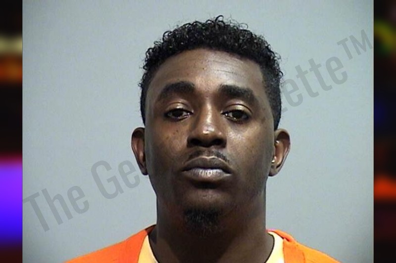 Lindsey Ward — Effingham County Jail Bookings