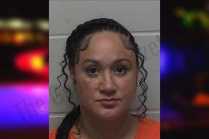 Elizabeth Willis — Laurens County Jail Bookings