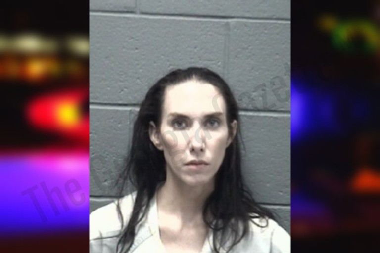 Natalie Zerr — Forsyth County Jail Bookings