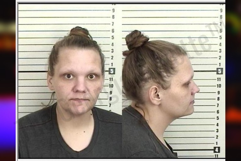 Brittany Brant — Camden County