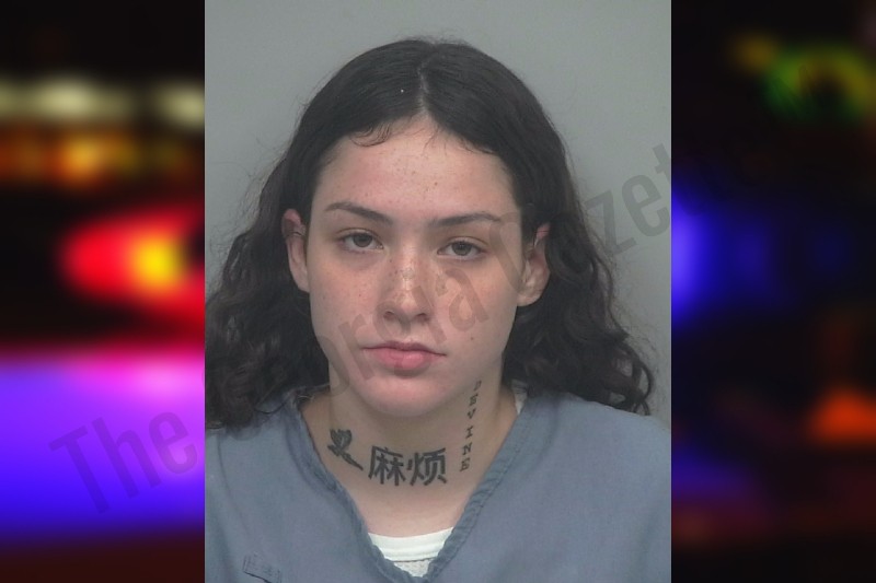 Destiny Clark — Gwinnett County Jail Bookings