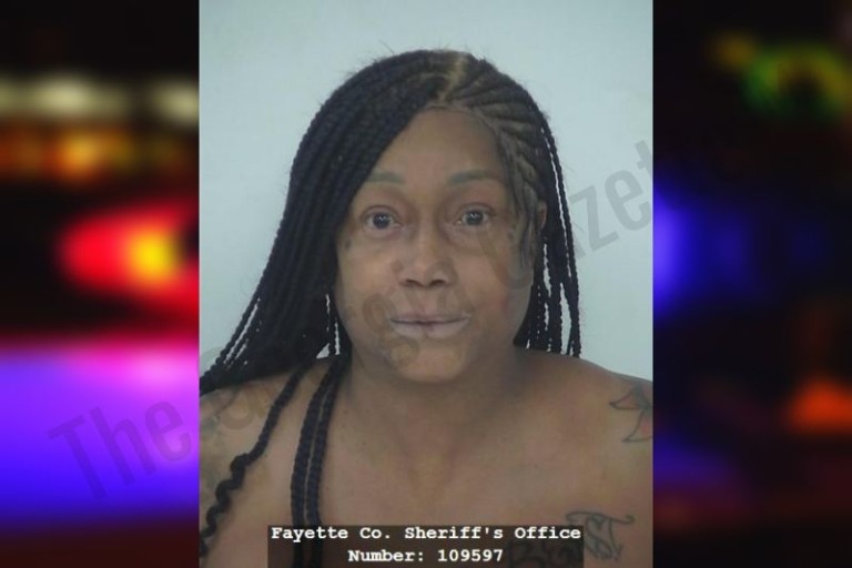 Lisa Hampton — Fayette County Jail Bookings