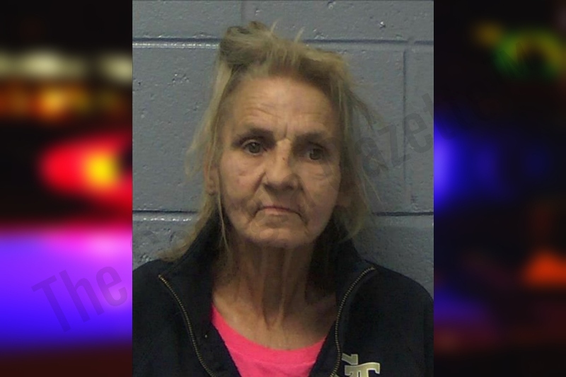 Lisa King — Ware County Jail Bookings