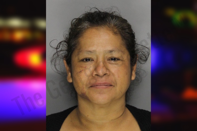 Mary Leon — Cobb County Jail Bookings