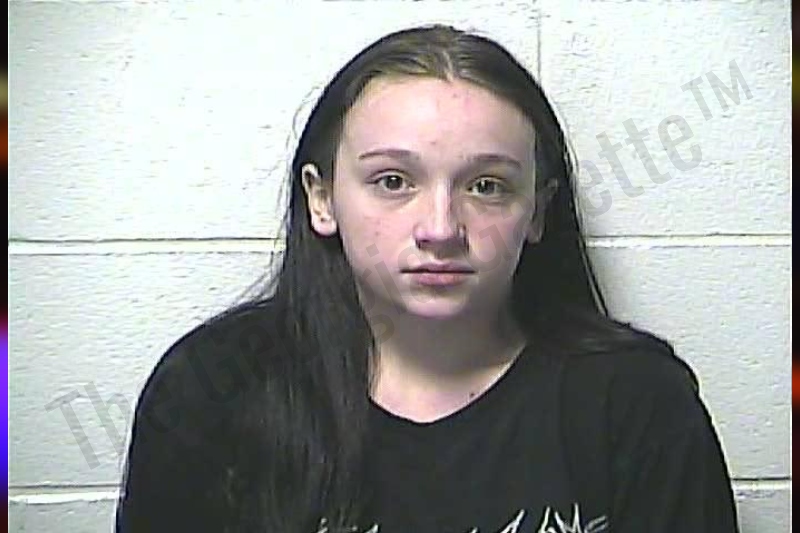 Deanna Landers — Dawson County Jail Bookings
