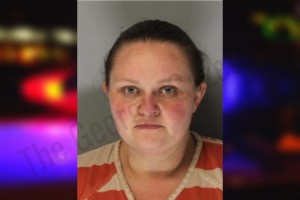 Jessica Motes — Hall County