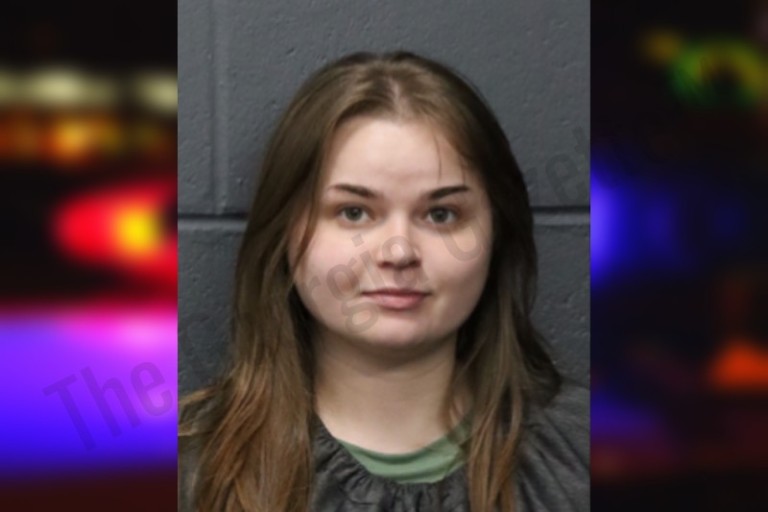 Courtney McClendon — Forsyth County Jail Bookings