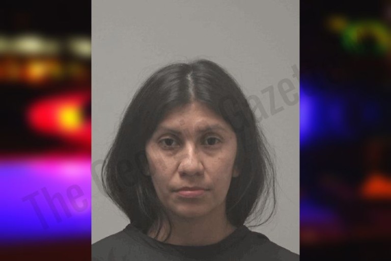 Bertha Morales Ruiz — Coweta County Jail Bookings