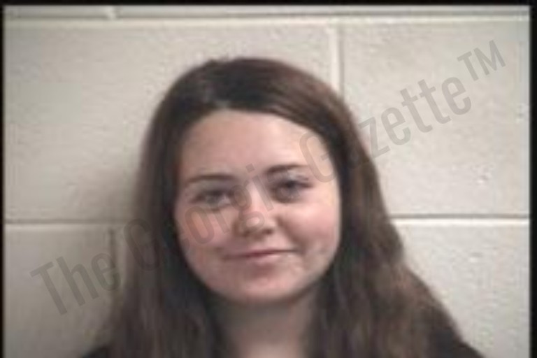 Addison Neumann — Henry County Jail Bookings