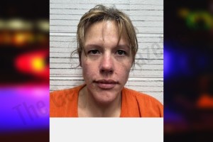 Kathryn Rodgers — Dade County Jail Bookings