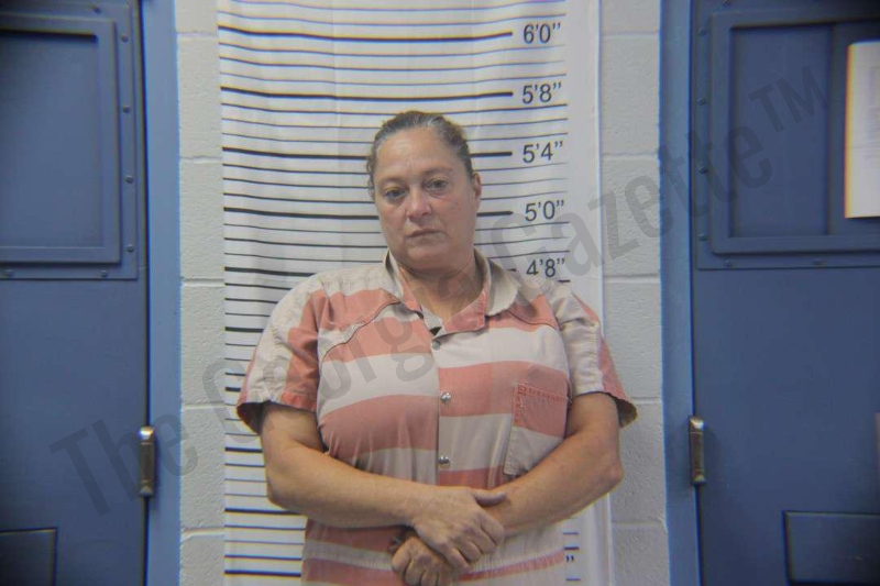 Jennifer Ridley — Stephens County Jail Bookings