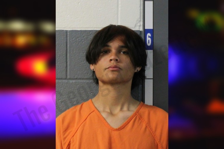 Alexander Sanchez-Morgan — Lumpkin County