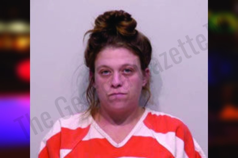 Courtney Spangler — Bartow County Jail Bookings