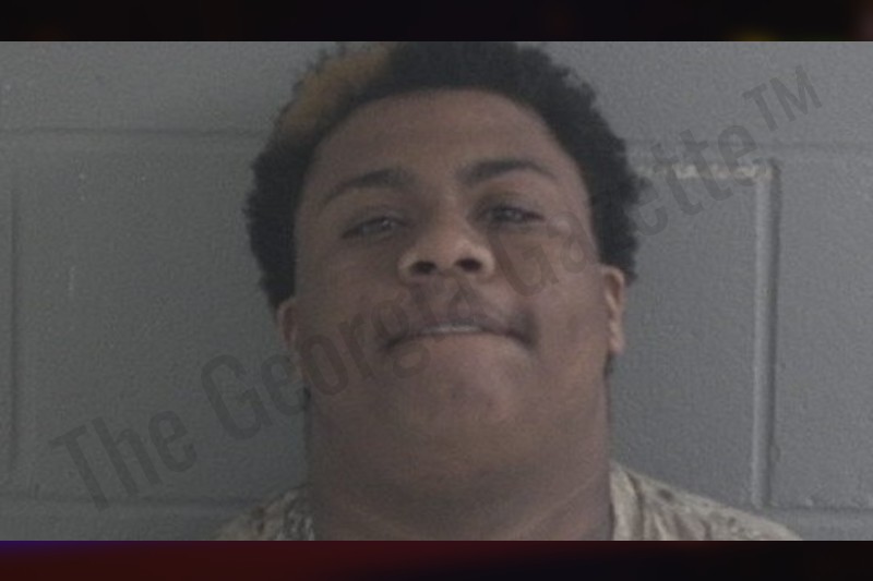 Eli Walker — Brantley County Jail Bookings