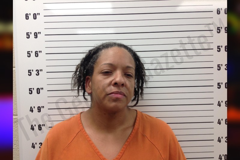Ilsa Cole-Brown — Pickens County Jail Bookings