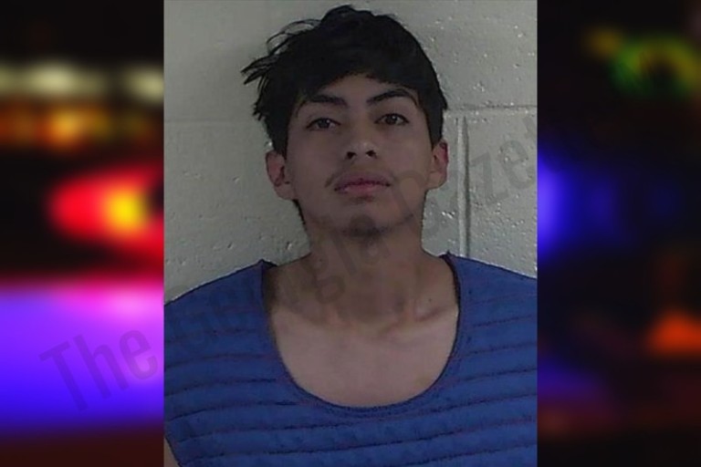Alexis Cruz-Alvarez — Fannin County