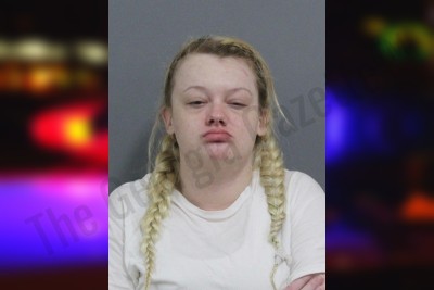 Destiny Dawson — Catoosa County Jail Bookings