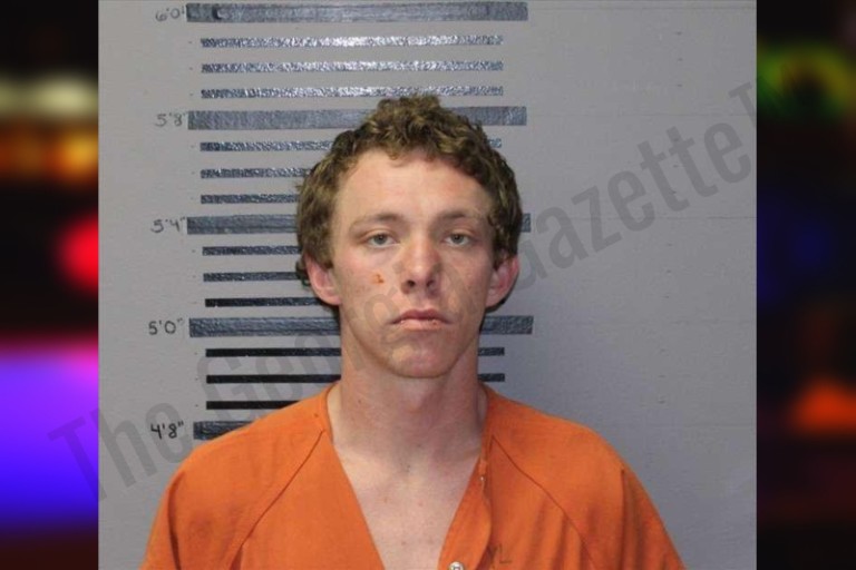 Thomas County Jail Bookings – Page 3 – The Georgia Gazette