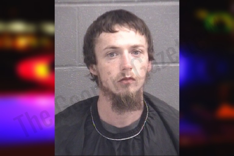 Tyler Davis — Spalding County Jail Bookings