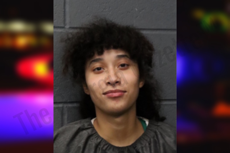 Skye Dorkins — Forsyth County Jail Bookings