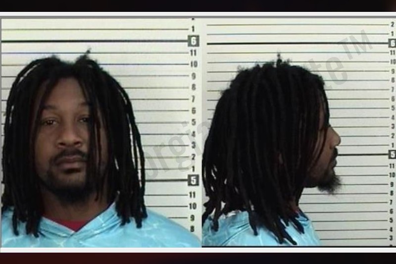 Demonta Elmore — Camden County Jail Bookings