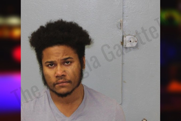 McIntosh County Jail Bookings – The Georgia Gazette