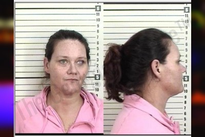 Ashlee Johnson — Camden County