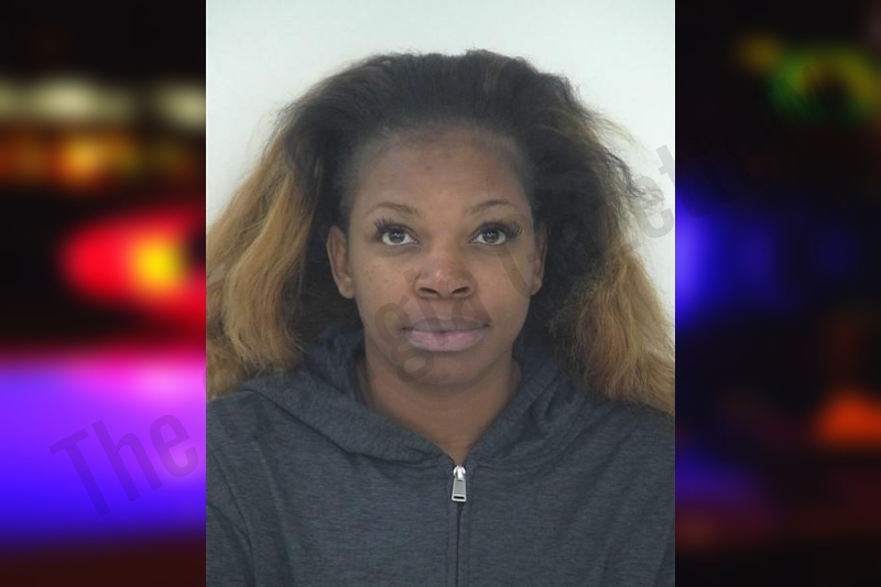 Brittaney Johnson — Fayette County Jail Bookings