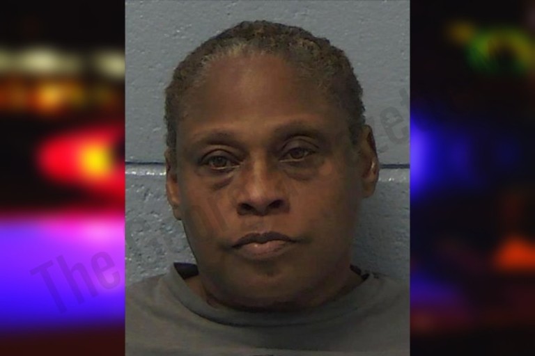 Ware County Jail Bookings – Page 2 – The Georgia Gazette