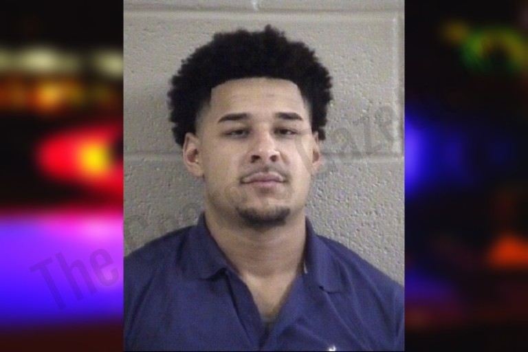 Whitfield County Jail Bookings – Page 2 – The Georgia Gazette
