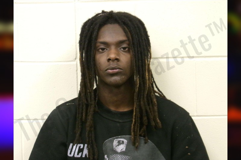 Brandon Riggs — Bulloch County Jail Bookings