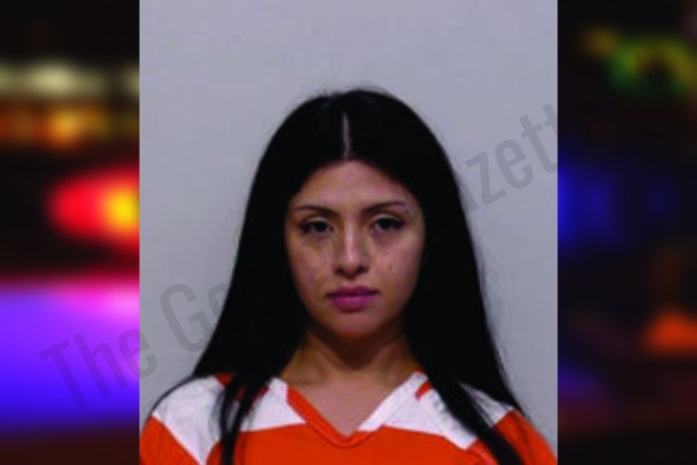 Denisse Ramirez-Mercado — Bartow County
