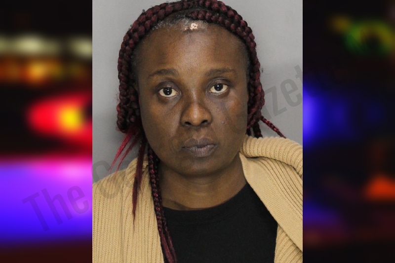 Lakeisha Smith — Cobb County Jail Bookings