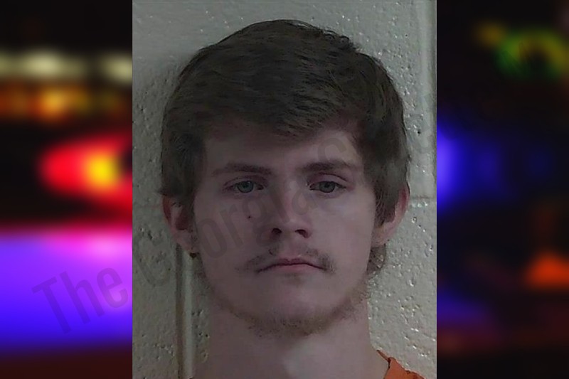 Fannin County Jail Bookings – The Georgia Gazette