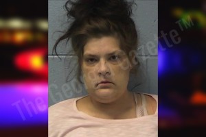 Jessica Wigley — Ware County Jail Bookings