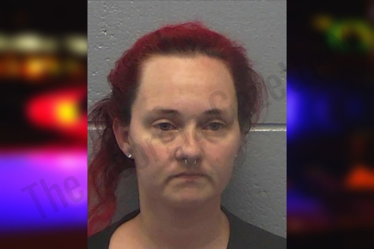 Bridgette Alderman — Ware County Jail Bookings