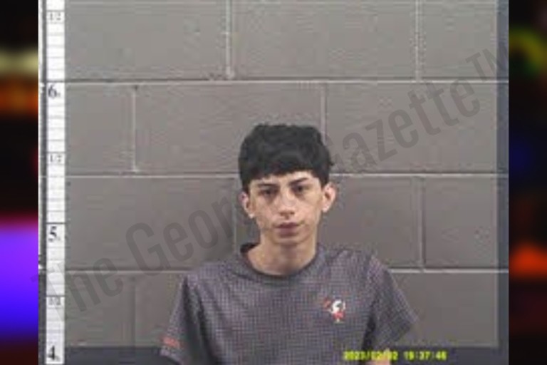 Anthony Alvarez — Banks County