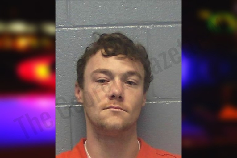 Ware County Jail Bookings – Page 2 – The Georgia Gazette