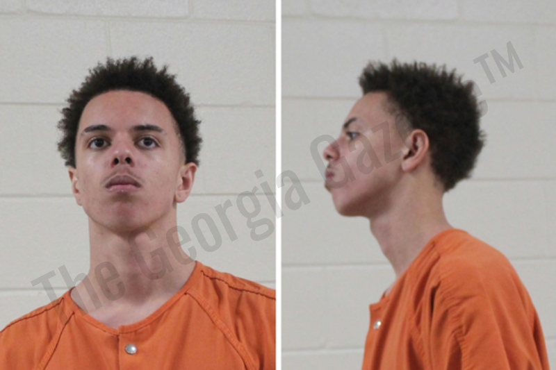 Micah Barnes — Houston County Jail Bookings