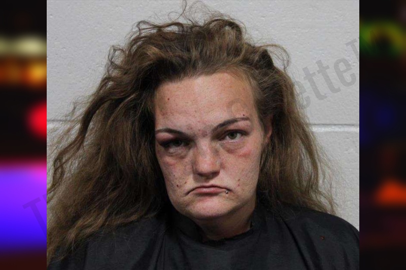 Hope Bergh — Habersham County Jail Bookings