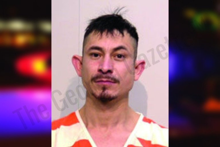 Roman Bermuda-Pineda — Bartow County Jail Bookings