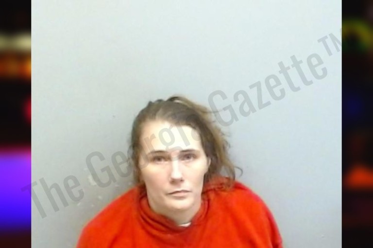 Haley Bramble — Fulton County Jail Bookings