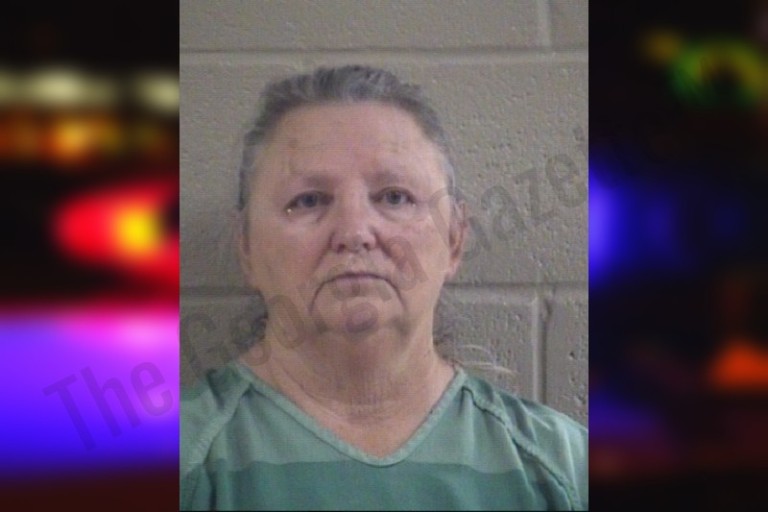 Robyn Burns — Whitfield County