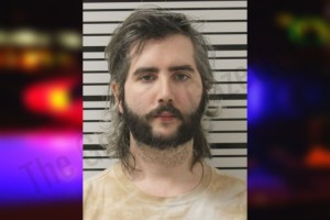 Jared Collins — Toombs County