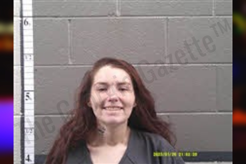 Haley Davidson — Banks County Jail Bookings