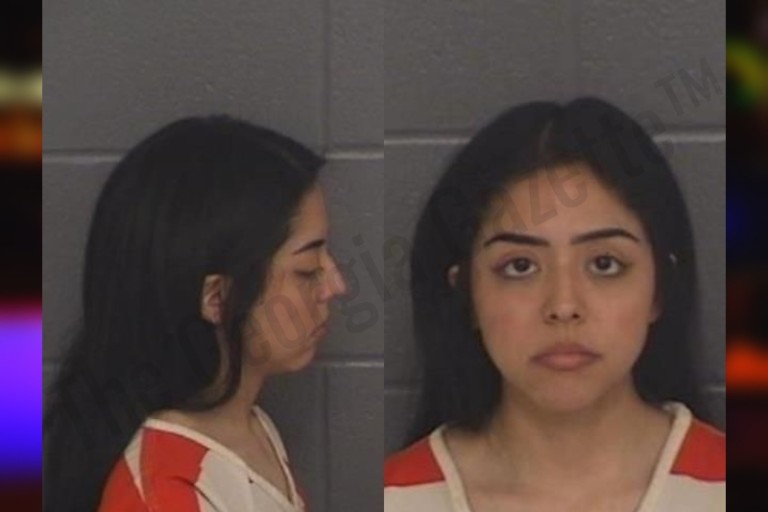 Stefani Estrada — Barrow County Jail Bookings