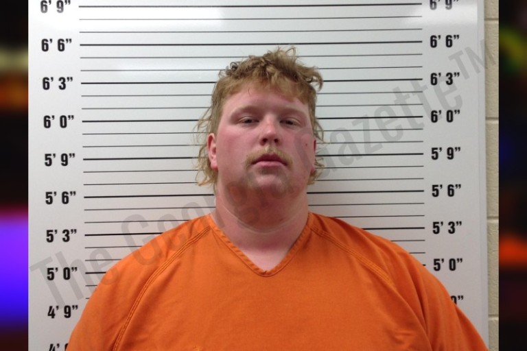 Bryson Fink — Pickens County