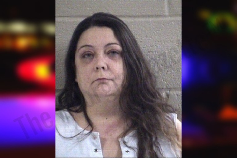 Whitfield County Jail Bookings – Page 7 – The Georgia Gazette