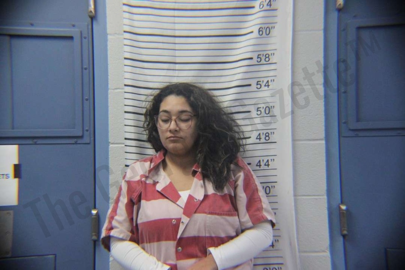 Crystal Gonzalez — Stephens County Jail Bookings